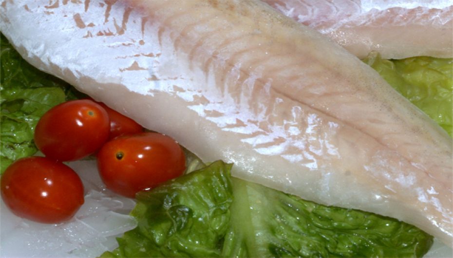 Filé de Betara | JCR